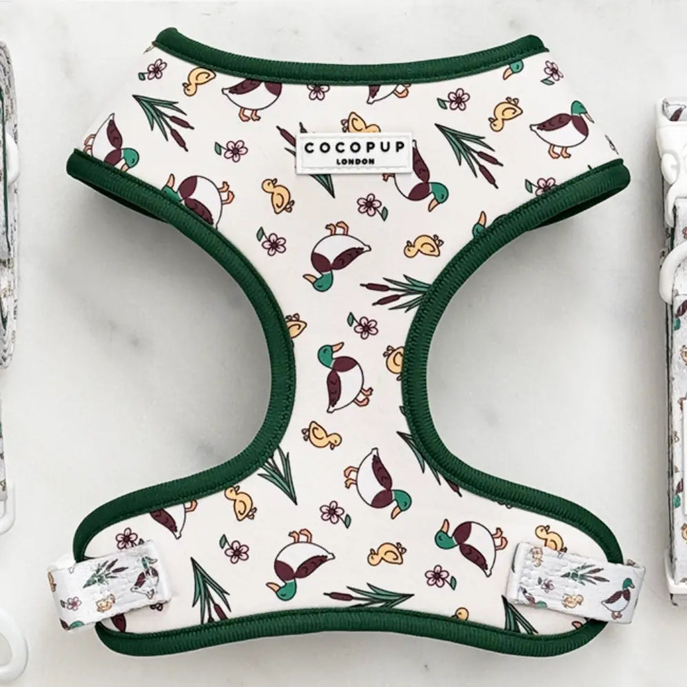 Cocopup Puddle Pup Harness – LilyPups Dog Boutique